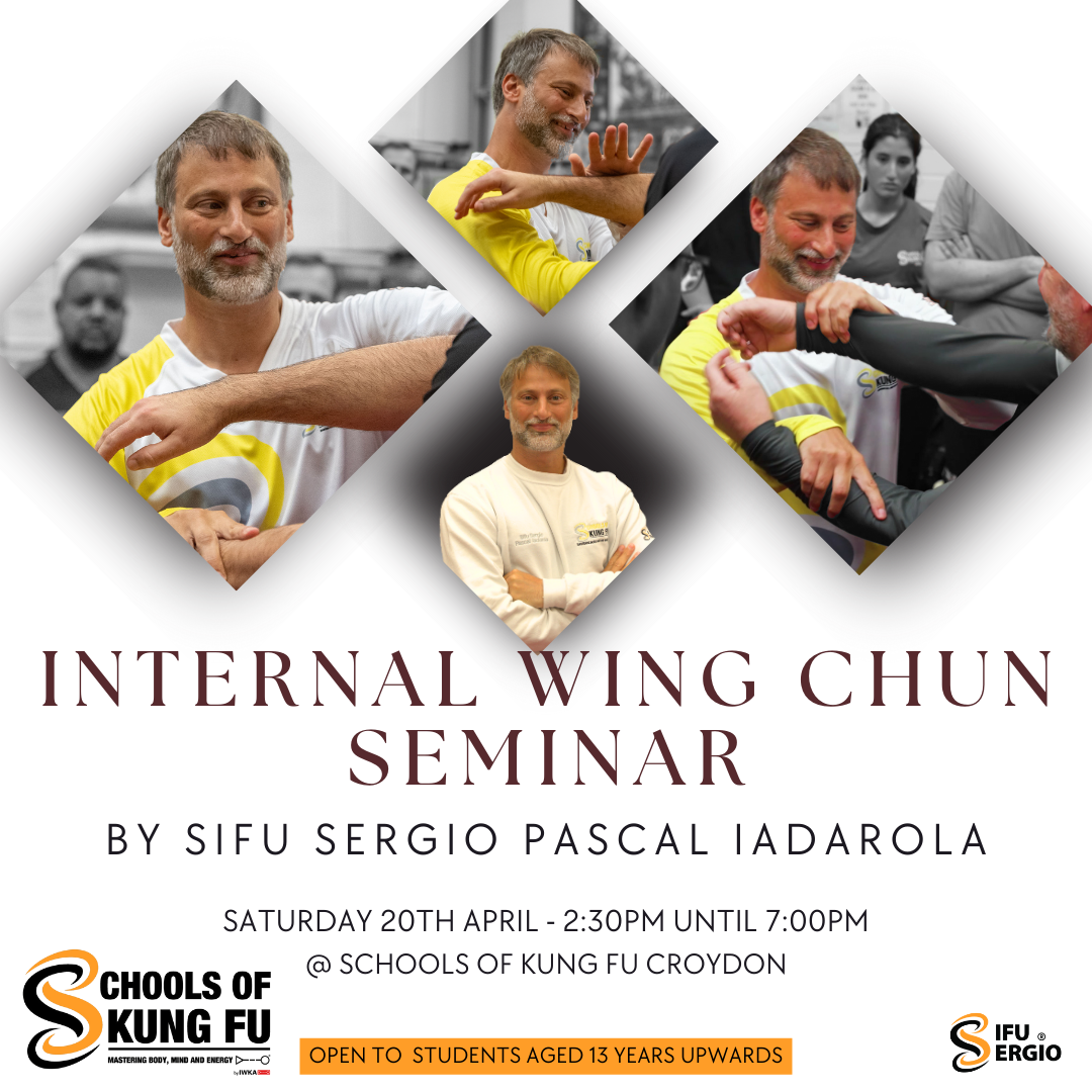 Photo Gallery – Martial Arts classes for Kids and Adults, Wing Chun ...